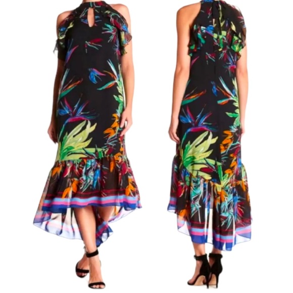 Eva Franco | Dresses | 356 Eva Franco Peking High Low Dress 4 Colorful ...